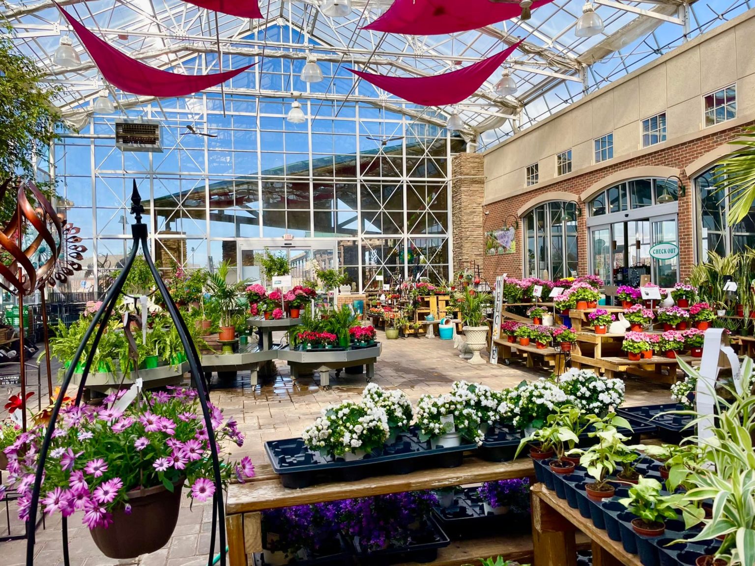 Location - Delhi Flower and Garden Center